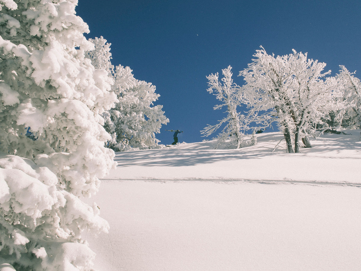 Powder Crew Sweatshirt – The Church of Powder Day Saints