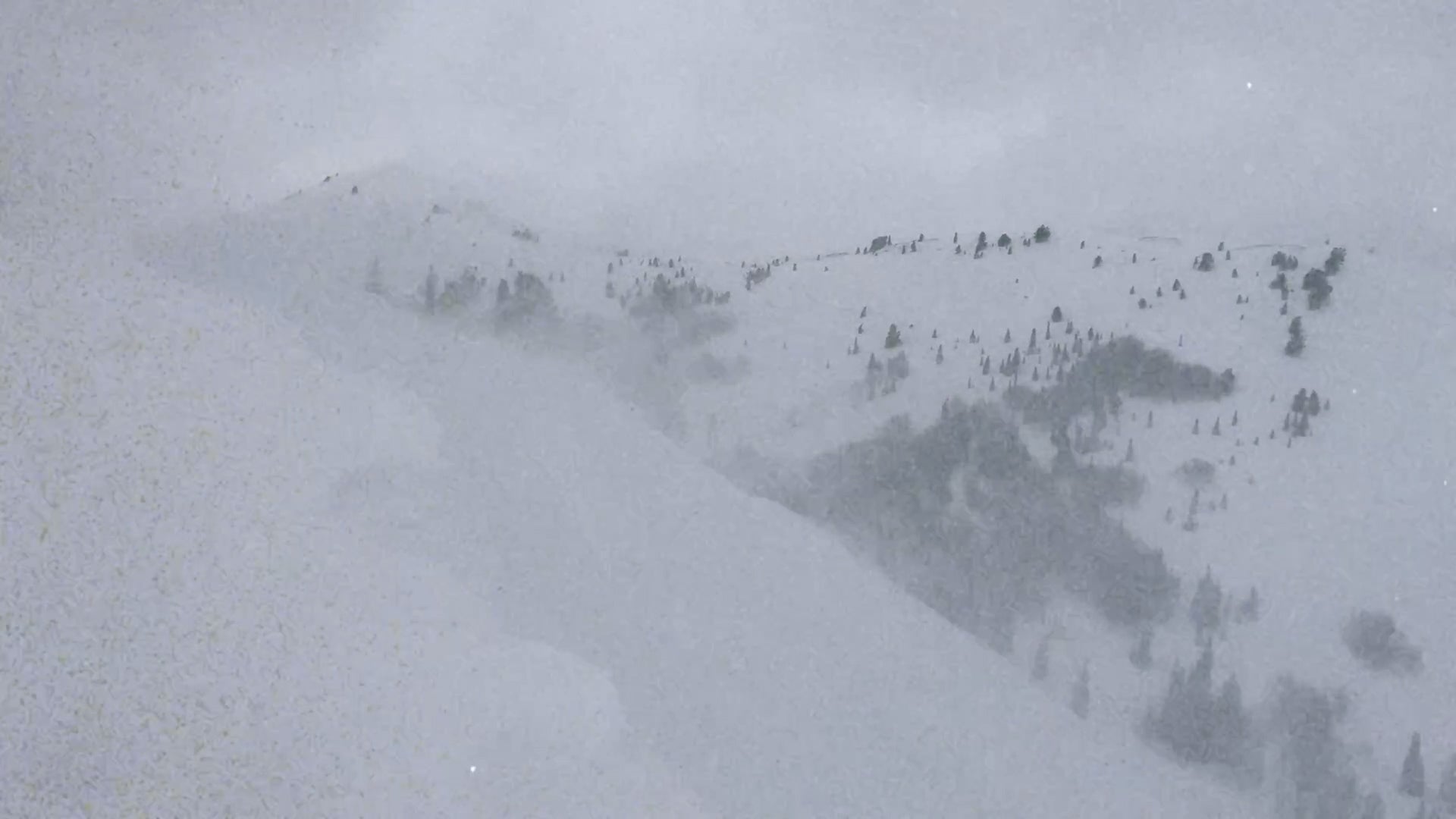 The Church of Powder Day Saints