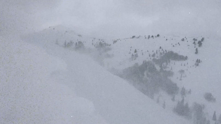 The Church of Powder Day Saints